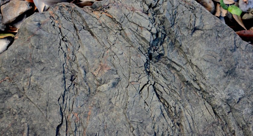 Geoscience Walking Tour | Department of Earth and Planetary Sciences ...