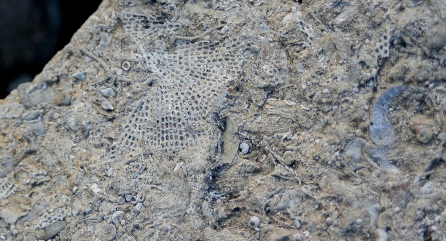 Geoscience Walking Tour | Department of Earth and Planetary Sciences ...