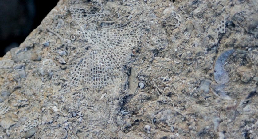 Geoscience Walking Tour | Department of Earth and Planetary Sciences ...