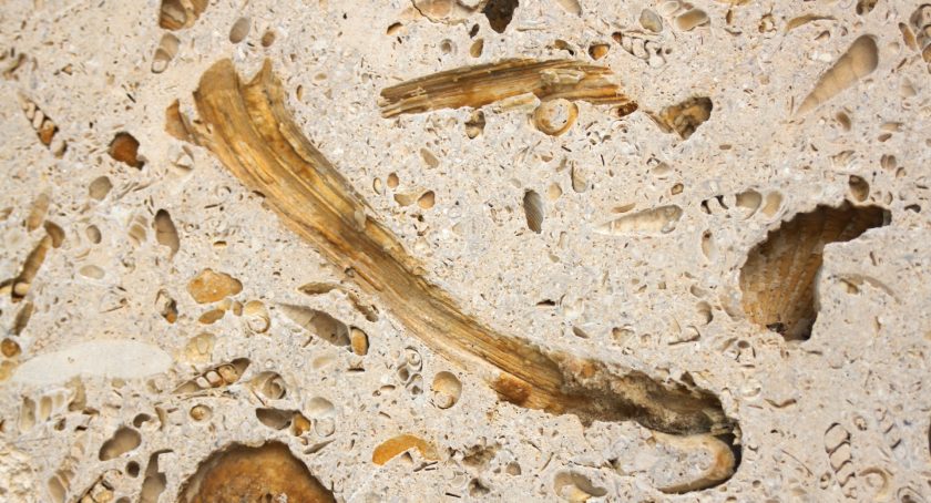 Geoscience Walking Tour | Department of Earth and Planetary Sciences ...