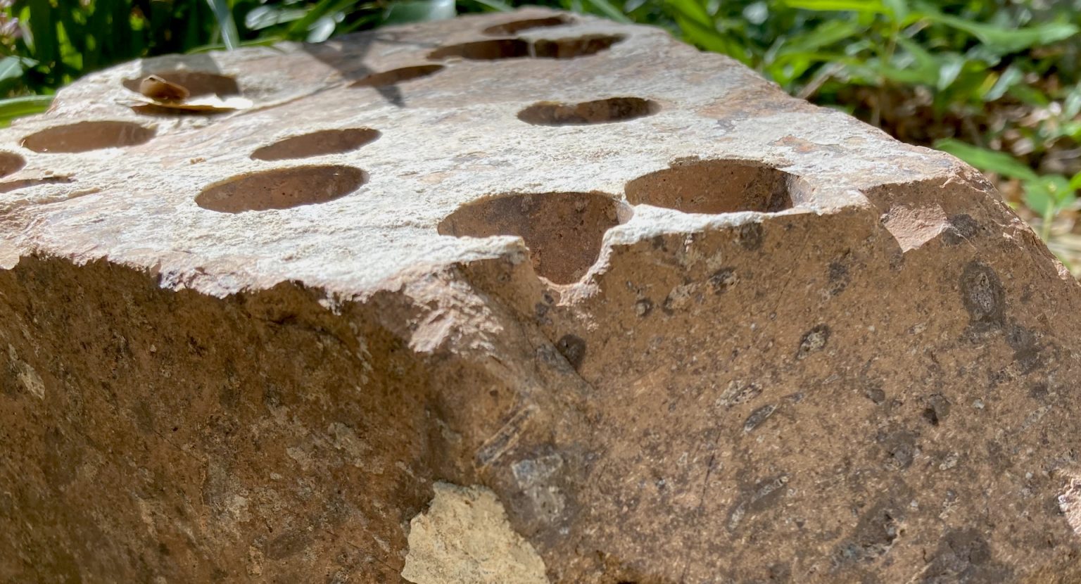 Geoscience Walking Tour | Department of Earth and Planetary Sciences ...