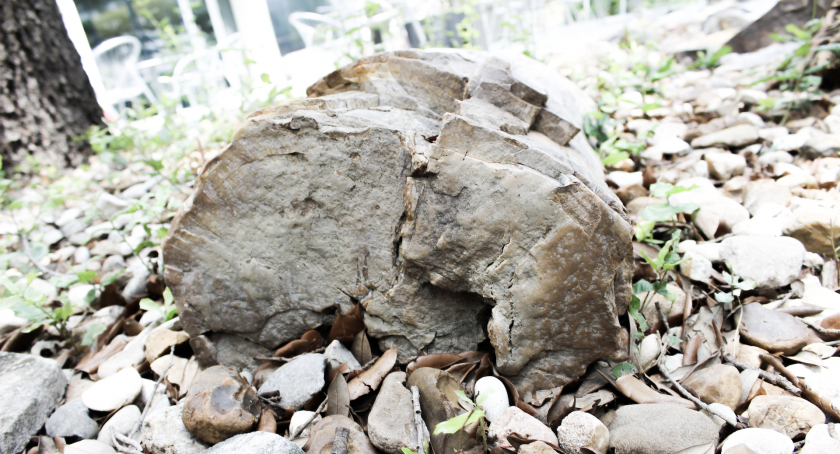 Geoscience Walking Tour | Department of Earth and Planetary Sciences ...