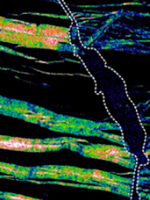 Stable Isotopes | Department of Earth and Planetary Sciences | Jackson ...