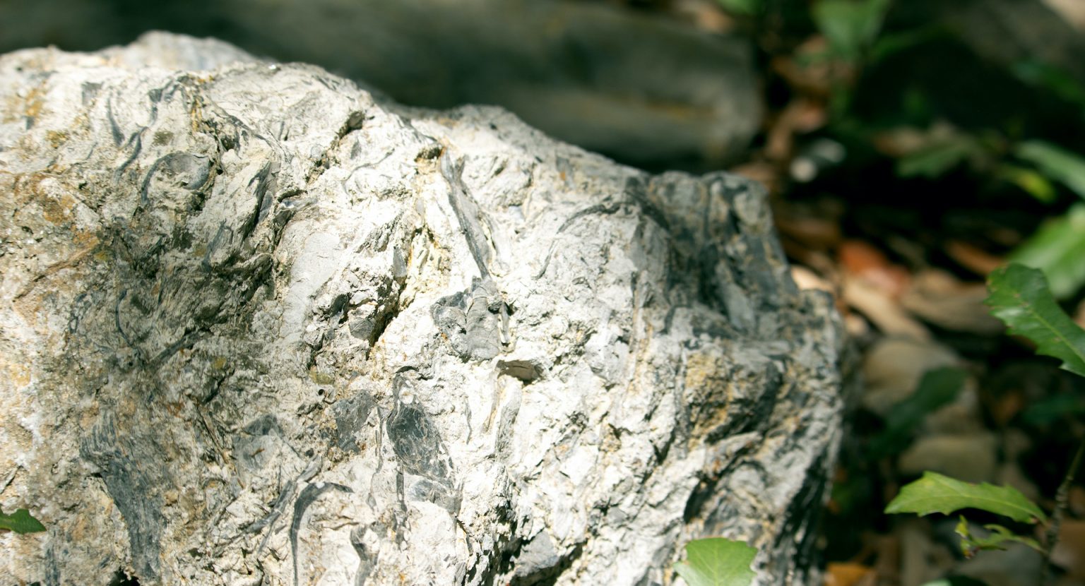 Geoscience Walking Tour | Department of Earth and Planetary Sciences ...